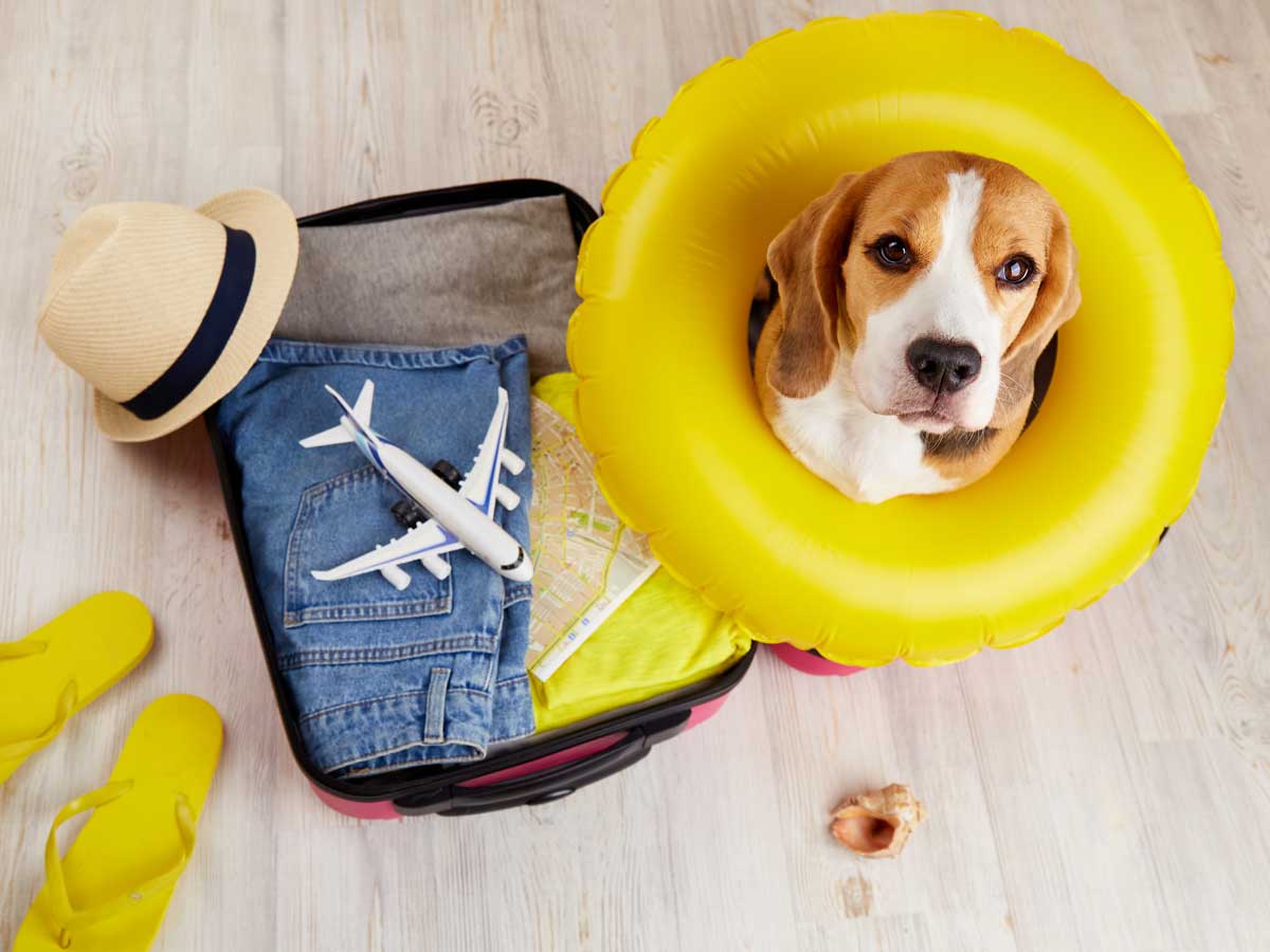 Asia Relocation Philippines | Moving and Storage company